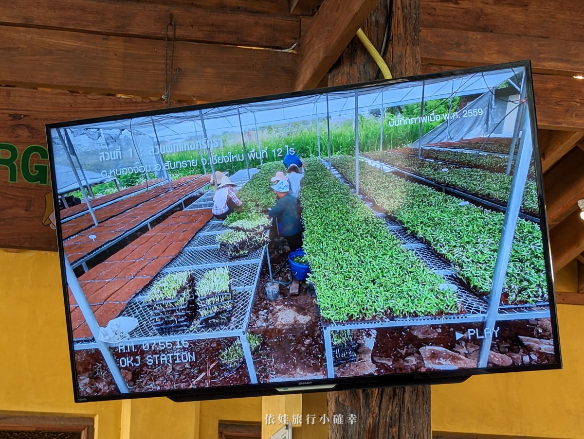 清邁餐廳推薦Ohkajhu Organic Restaurant農夫三兄弟，從自家有機農場到餐桌，紅到曼谷開分店(菜單) @依娃旅行小確幸